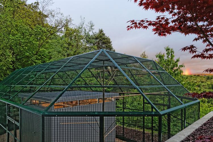 Ma volière et mes becs crochus